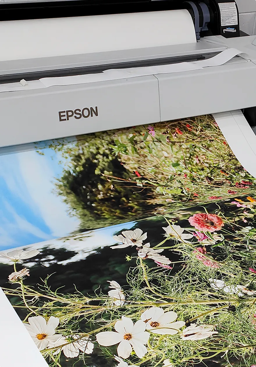 Fine Art Printing Gold Coast | Trusted for 20+ Years